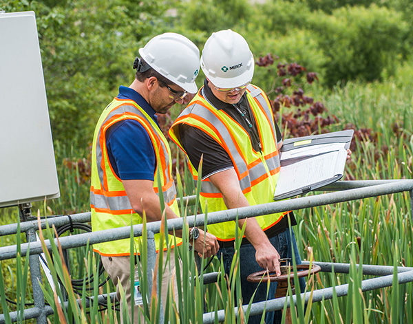 Manufacturing & Supply Division | Merck Careers