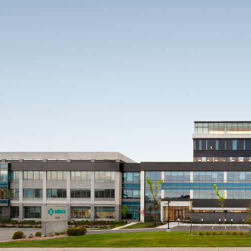 Human Health Division | Commercial | Sales | Merck Careers