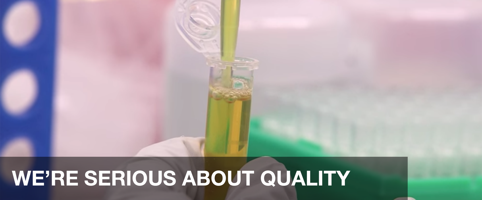 Quality & Regulatory | Thermo Fisher Scientific