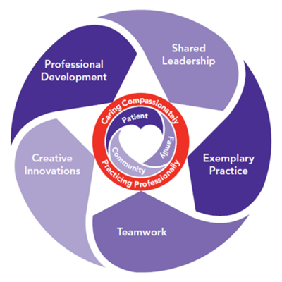 Nursing Best Practice