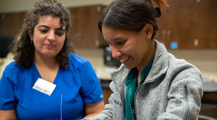 Your Guide to Veterinary Internships | BluePearl