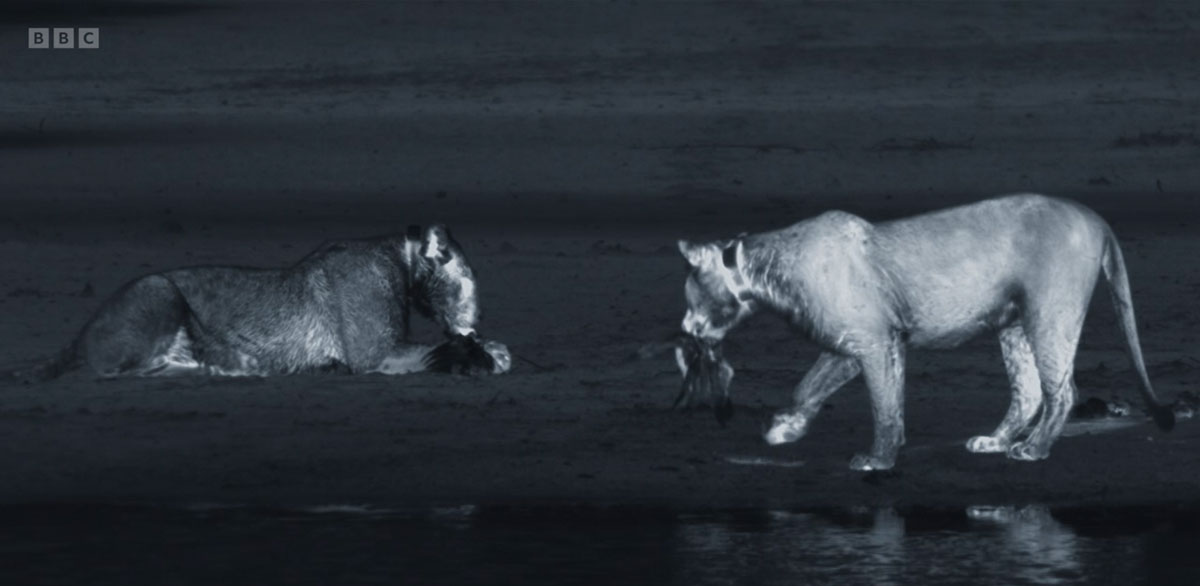 Leonardo technology brings beauty and danger of natural world to life ...