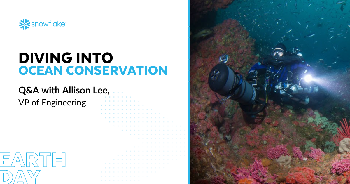 Diving into Ocean Conservation - Q&A with VP of Engineering Allison Lee