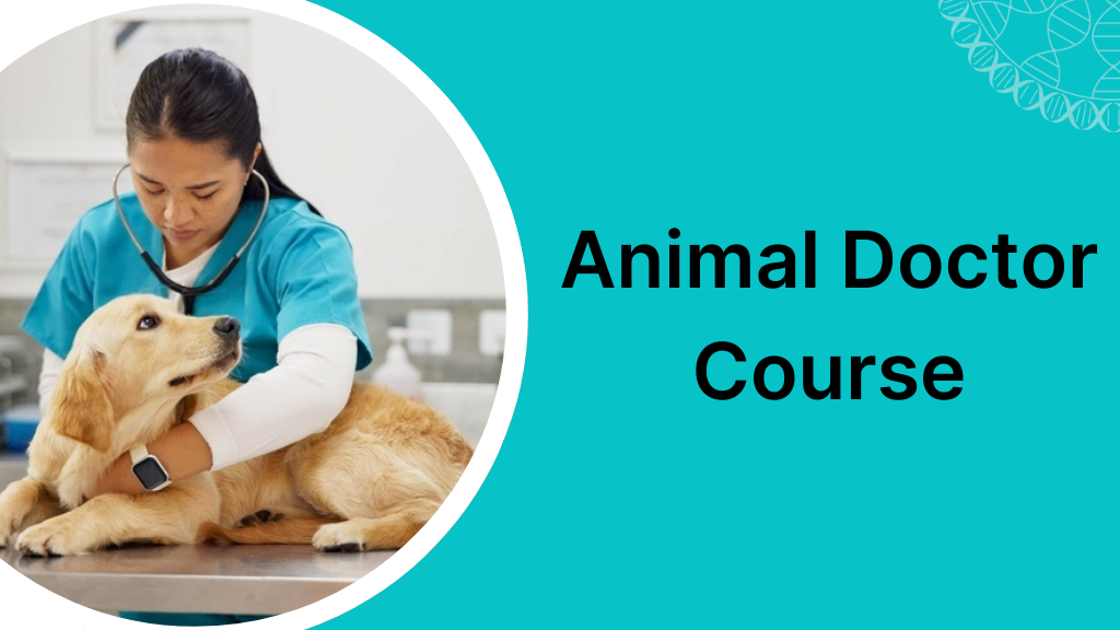 Animal Doctor Course: Eligibility, Colleges, Fees, Career Scope ...