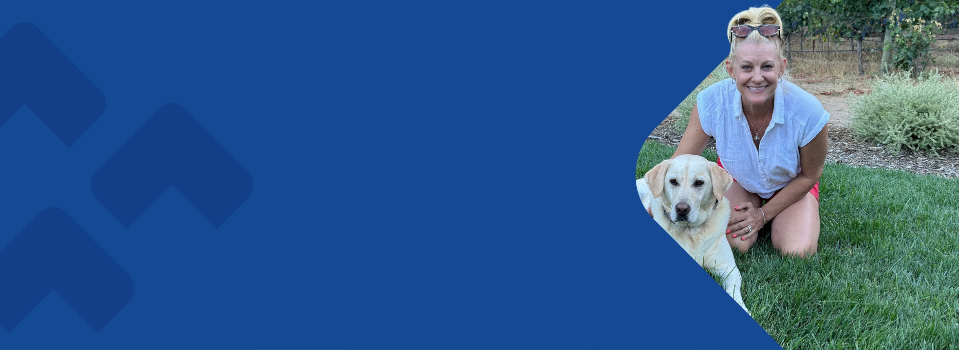 A glimpse into the emerging world of veterinary social work | VCA